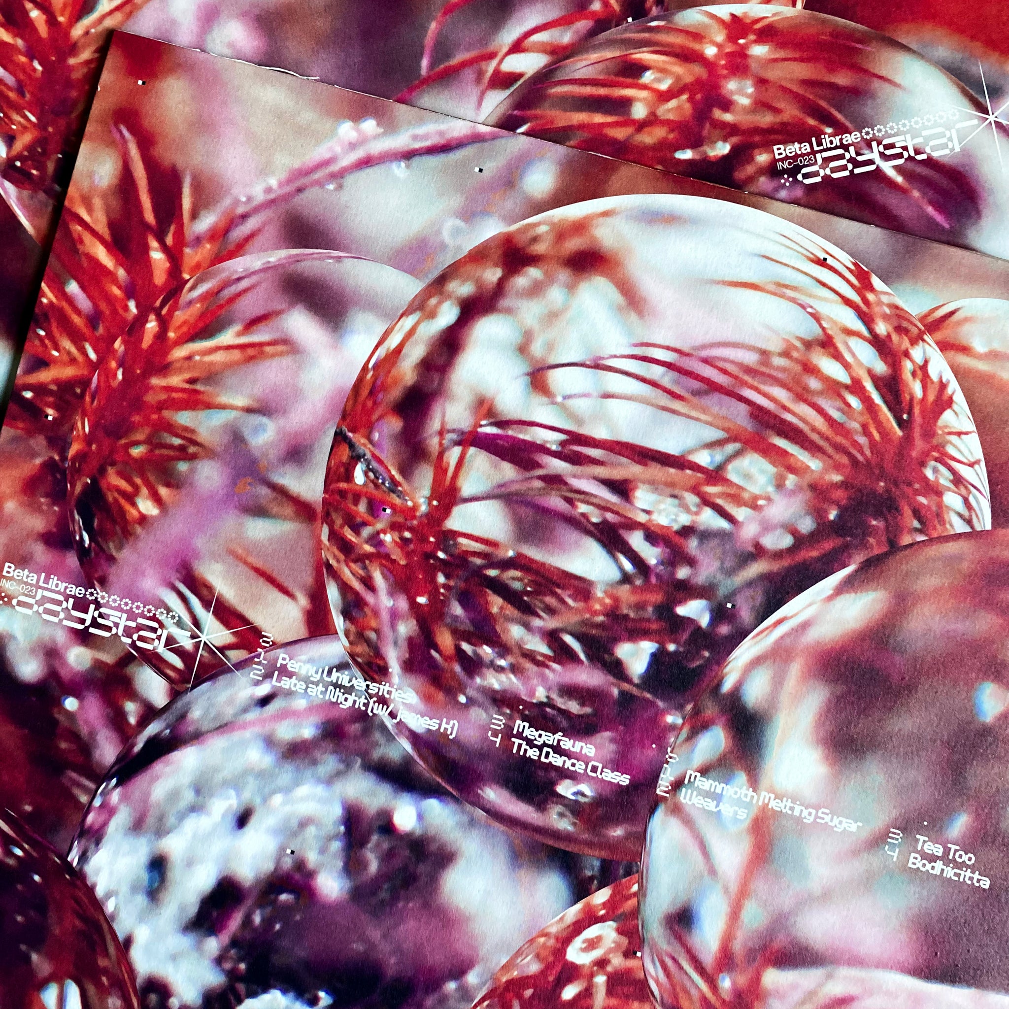 Beta Librae – DAYSTAR