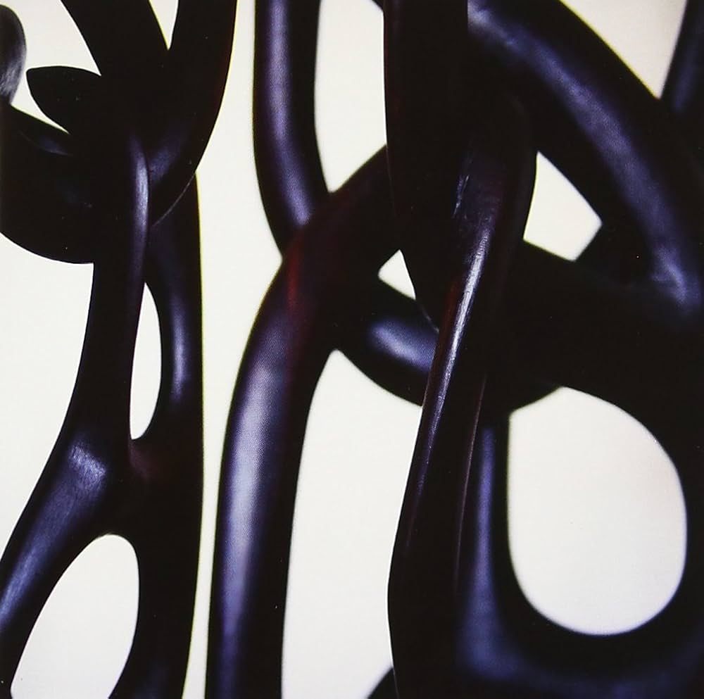 Karen Gwyer – Needs Continuum (Vinyl, LP)