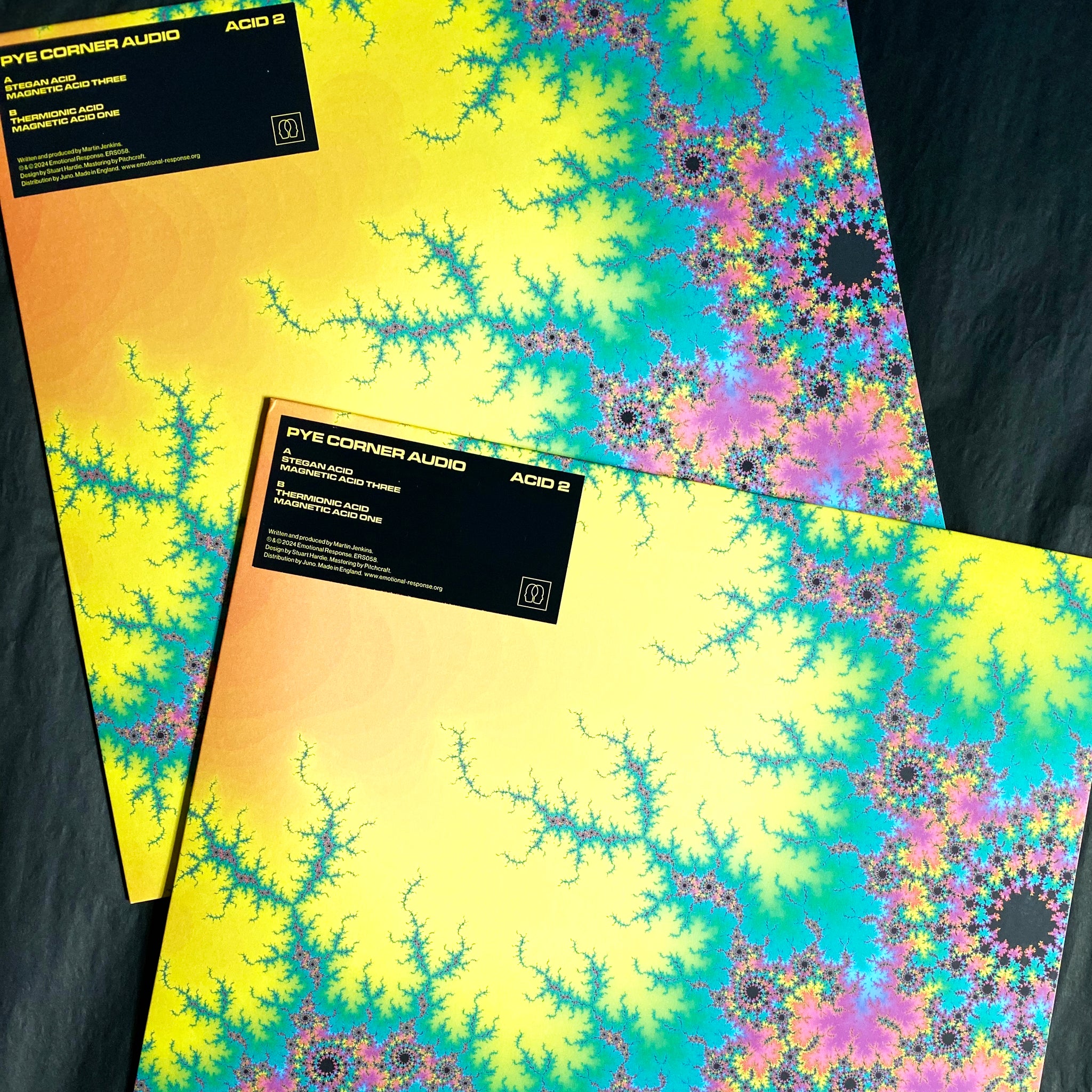 Pye Corner Audio – Acid 2