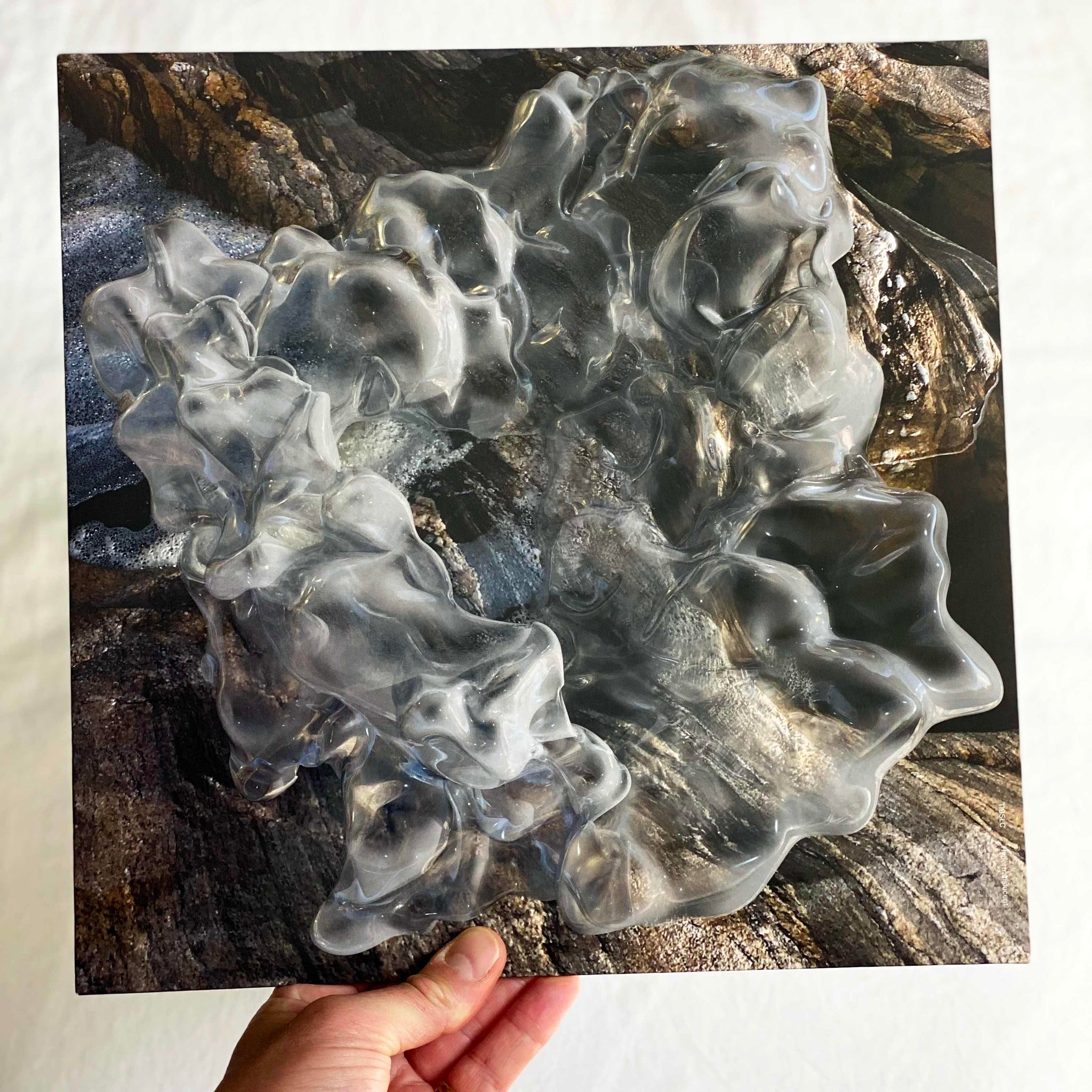 TIBSLC - Hypertranslucent